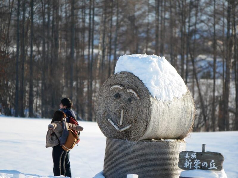 From Sapporo: Private Day Tour to Biei, Furano and Asahikawa - Personalized Experiences and Tour Inclusions