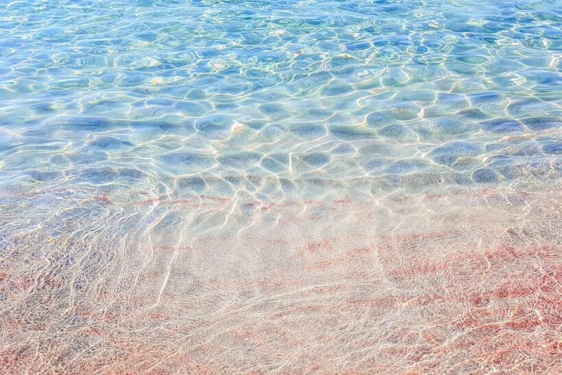 From Sardinia: La Maddalena Archipelago Full-Day Boat Tour - Free Time and Local Exploration in La Maddalena
