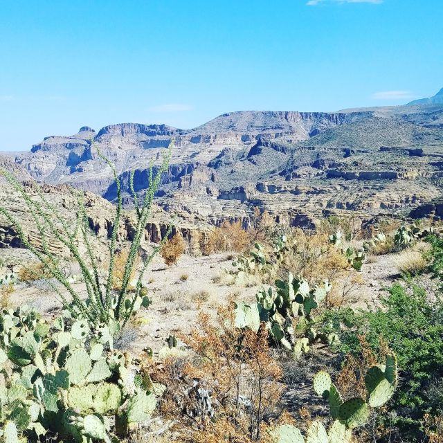 From Scottsdale/Phoenix: Apache Trail Day Tour - Practicalities and Value