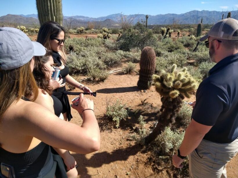 From Scottsdale: Sonoran Desert & Tonto National Forest Trip - Final Thoughts on the Sonoran Desert & Tonto National Forest Jeep Tour