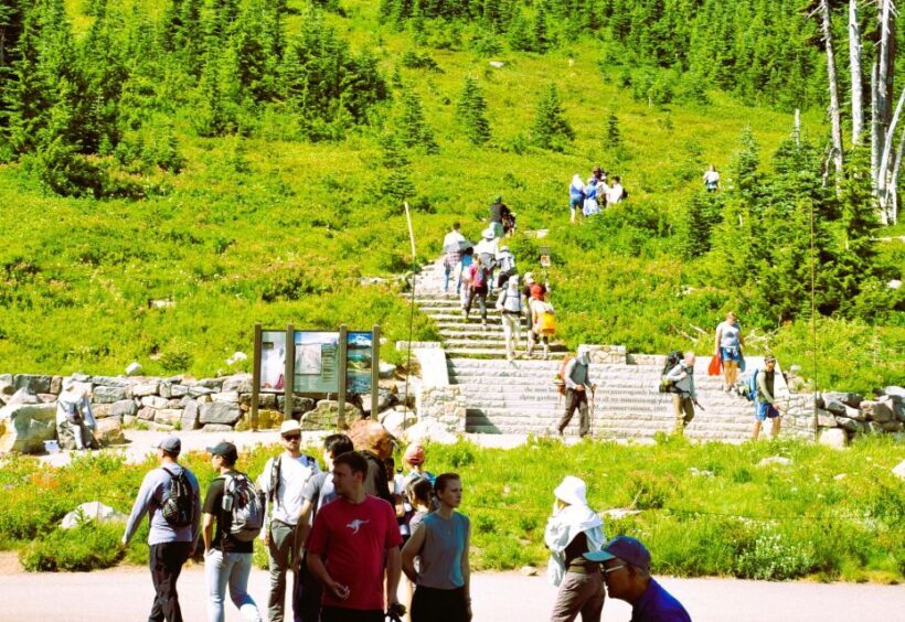 From Seattle: Customized Mount Rainier Tour - The Scenic Drive and Highlights