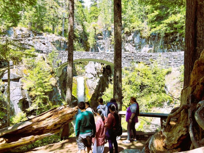 From Seattle: Customized Mount Rainier Tour - Photo Opportunities and Wildlife