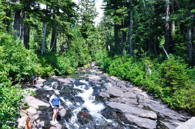 From Seattle: Customized Mount Rainier Tour - Educational and Cultural Insights