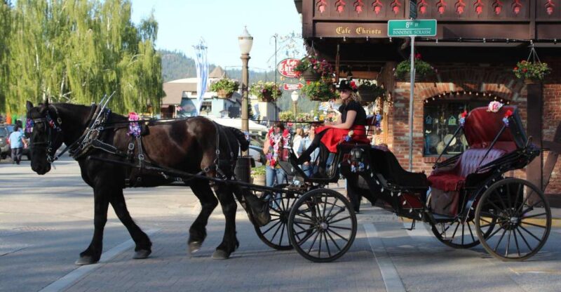 From Seattle: Day Trip Through The Cascades to Leavenworth - Why This Tour Offers Good Value