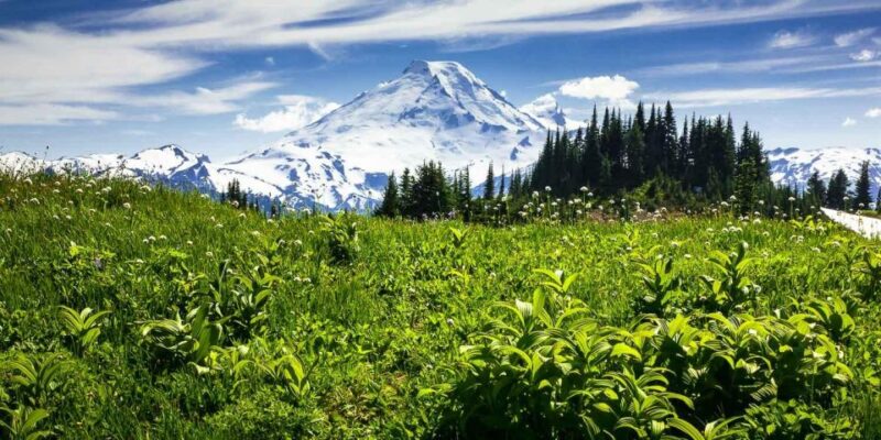 From Seattle - Enchanting Mt Baker & Cascade mountains tours - Considering the Value