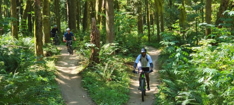 From Seattle: Full Day All-Inclusive Mountain Bike Tour - Who Will Love This Tour?