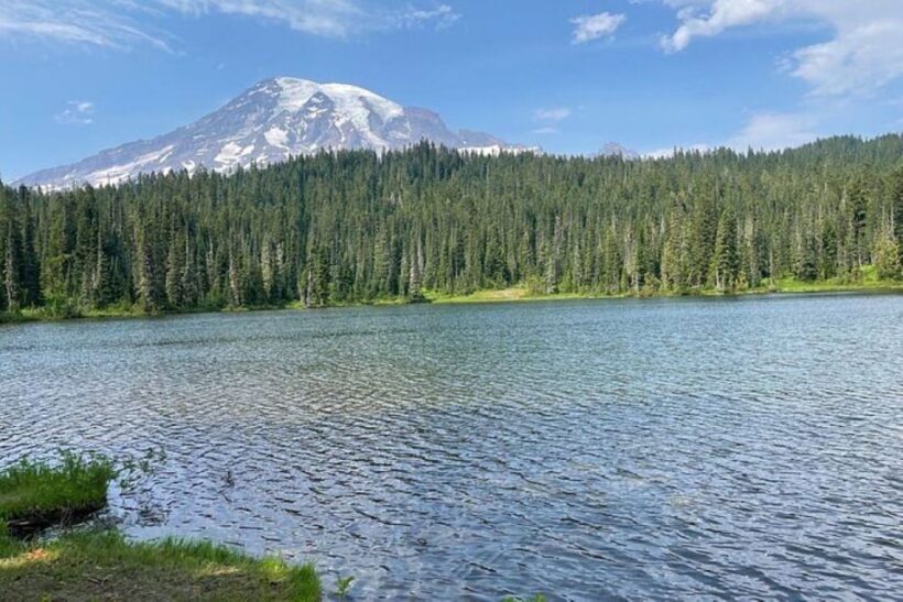 From Seattle: Full-Day Mt Rainier National Park Tour - Key Points