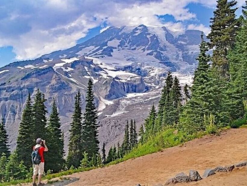 From Seattle: Full-Day Mt Rainier National Park Tour - A Detailed Look at the Experience