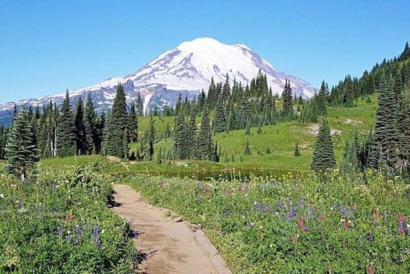 From Seattle: Full-Day Mt Rainier National Park Tour - Final Thoughts