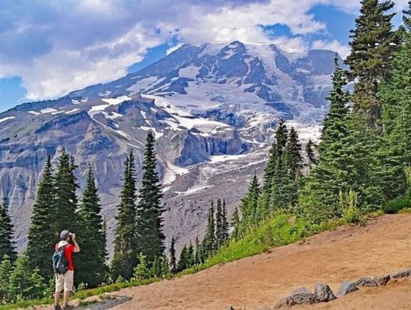 From Seattle: Full-Day Mt Rainier National Park Tour - Key Points