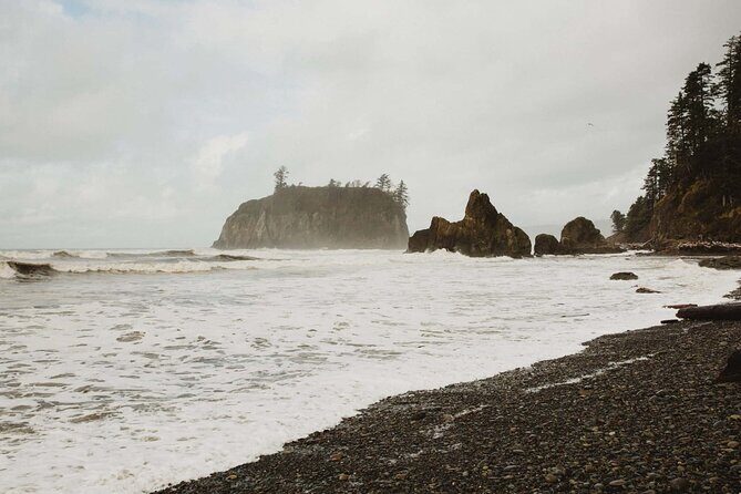 From Seattle Hoh rain forest and Olympic National Park Highlight - Frequently Asked Questions