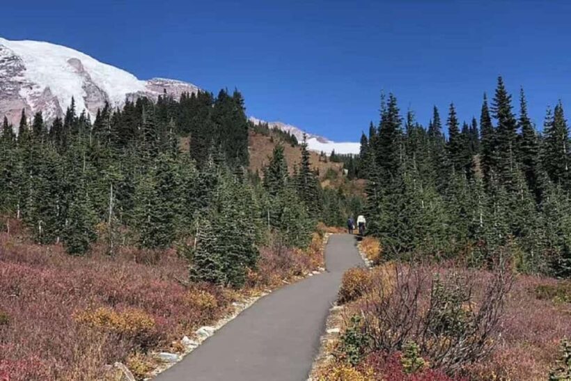 From Seattle: Mount Rainier Guided Day Tour - FAQ