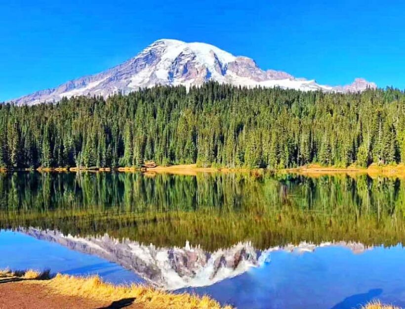 From Seattle: Mount Rainier National Park 1-Day Tour - Key Points