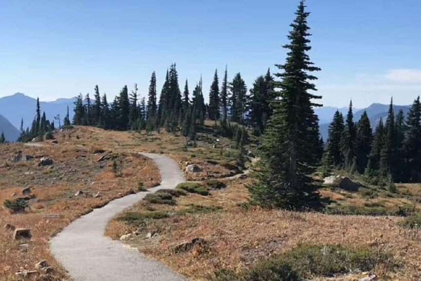 From Seattle: Mount Rainier National Park 1-Day Tour - An Authentic Day in the Shadow of Mount Rainier