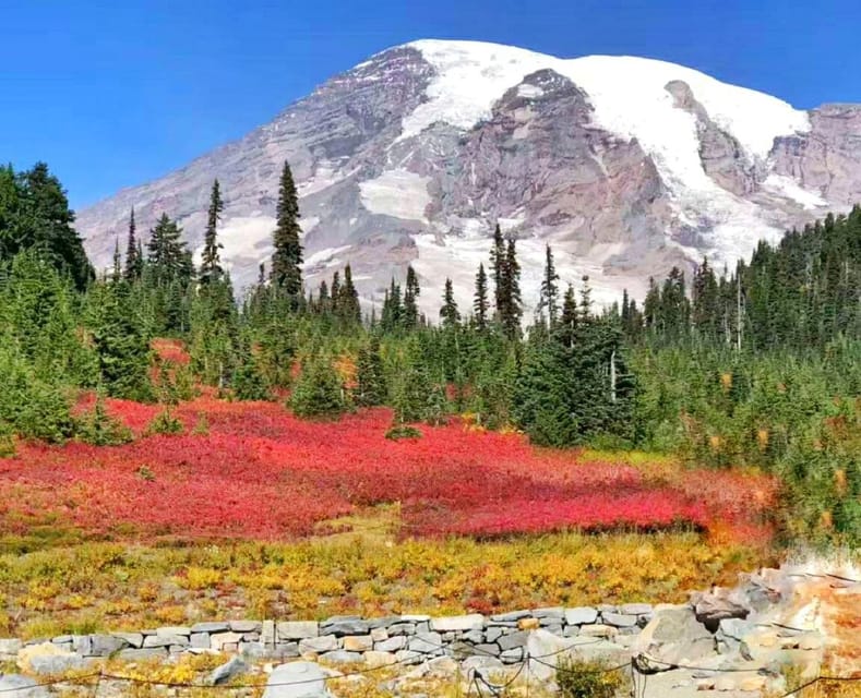 From Seattle: Mount Rainier National Park 1-Day Tour - An Honest Look at a Popular Day Trip to Mount Rainier