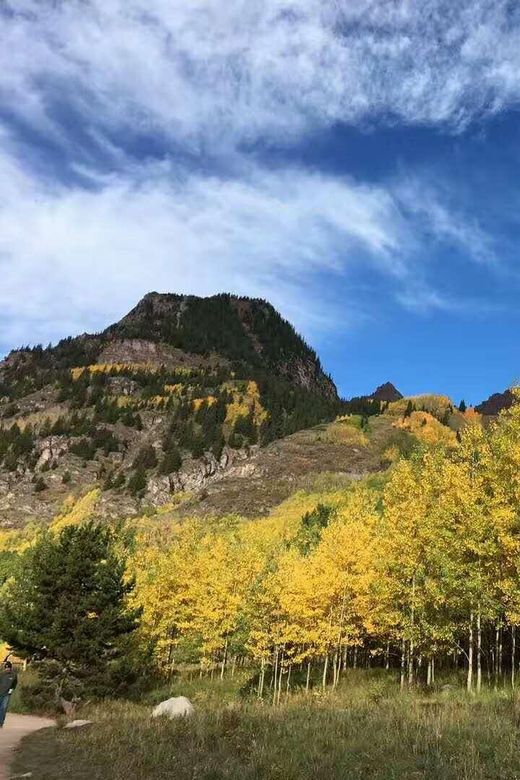 From Seattle: Mount Rainier National Park 1-Day Tour - The Experience of the Drive