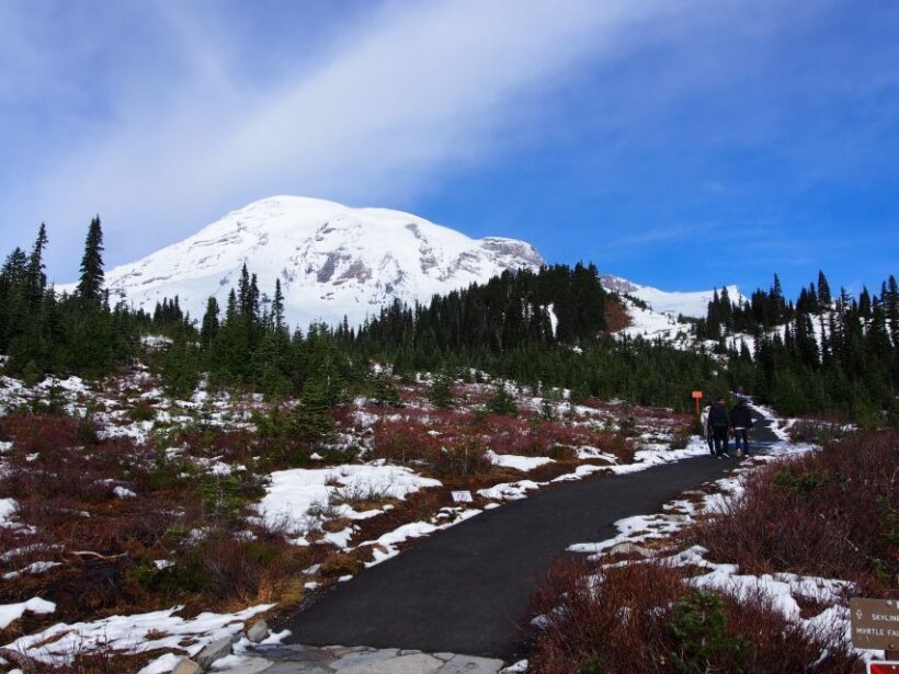 From Seattle: Mount Rainier National Park Guided Tour - From Seattle: Mount Rainier National Park Guided Tour