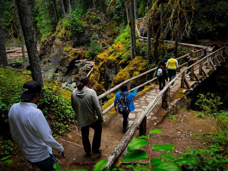From Seattle: Mount Rainier National Park Guided Tour - Weather and Clothing Tips