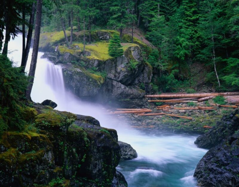 From Seattle: Mount Rainier National Park Guided Tour - The Bottom Line: Is This Tour for You?
