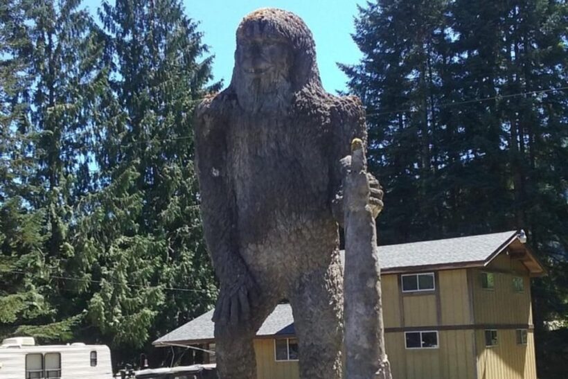 From Seattle: Mount Saint Helens Monument Private Day Trip - FAQs