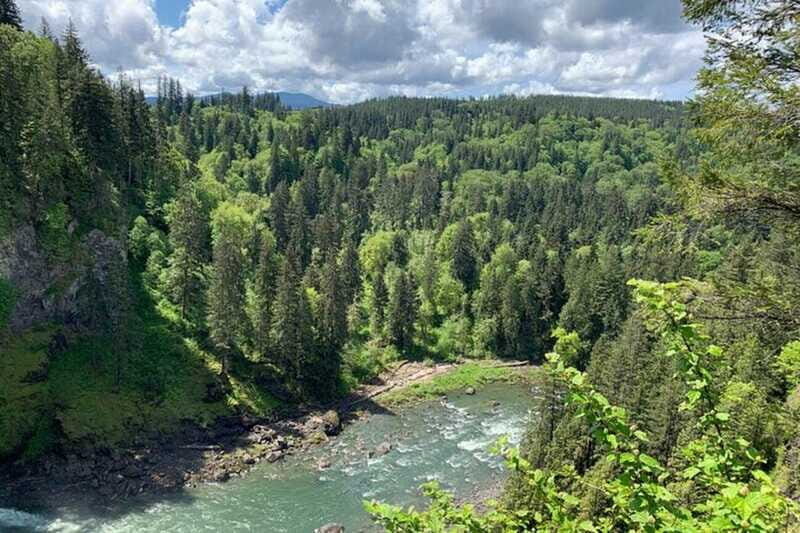 From Seattle: Pacific Northwest Waterfalls & Hiking Tour - The Hike: What You Need to Know