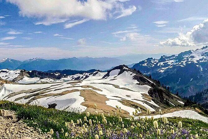 From Seattle - Private Mt Baker and Cascades Tour in SUV - Returning to Seattle