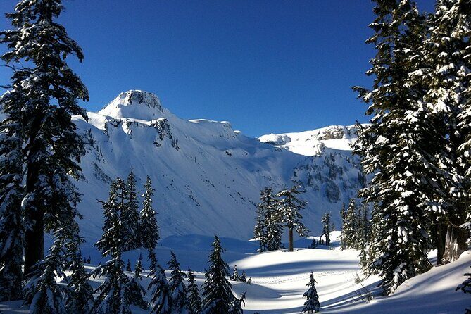 From Seattle - Private Mt Baker and Cascades Tour in SUV - What’s Included and What’s Not