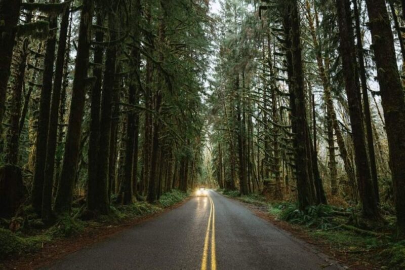 From Seattle: Twilight Forks Washington Tour - Key Points