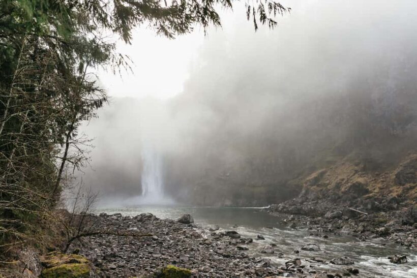 From Seattle: Visit Snoqualmie Falls and Hike to Twin Falls - Authentic Experiences and Real Feedback