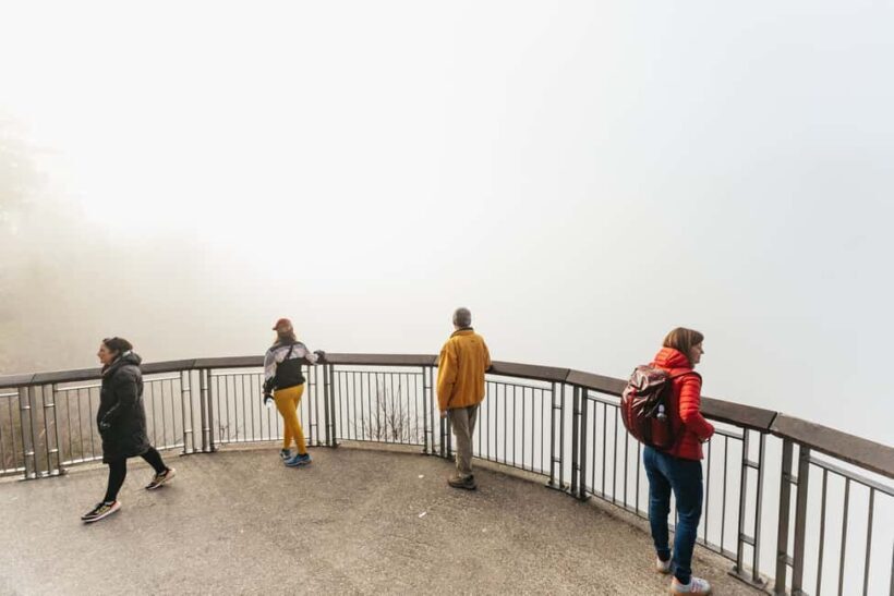 From Seattle: Visit Snoqualmie Falls and Hike to Twin Falls - Who Should Consider This Tour?