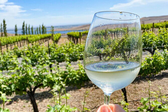 From Seattle Wine Tasting, Vineyards in Eastern WA - An In-Depth Look at the Experience