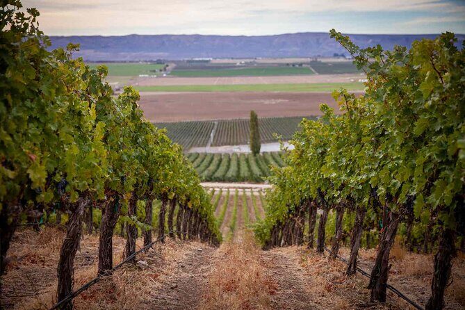 From Seattle Wine Tasting, Vineyards in Eastern WA - Final Thoughts