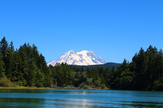 From Seattle:Hiking in Mount Rainier Private Tour - Introduction