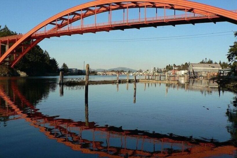 From Seattle:Tulip Festival at Skagit Valley and La Conner - A Close Look at the Itinerary and Highlights