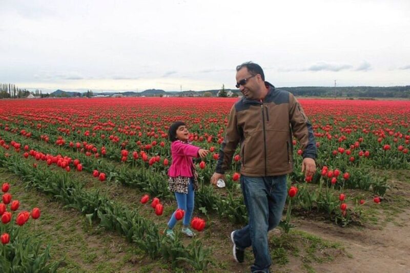 From Seattle:Tulip Festival at Skagit Valley and La Conner - An Authentic Day in Washington’s Scenic Corners