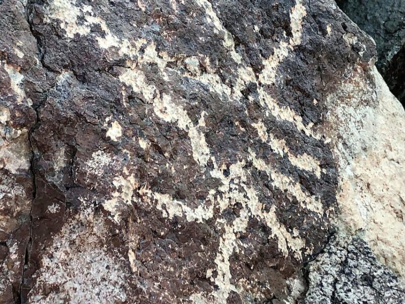 From Sedona: Archeology and Nature Hike - The Experience: Authentic, Educational, and Visually Stunning