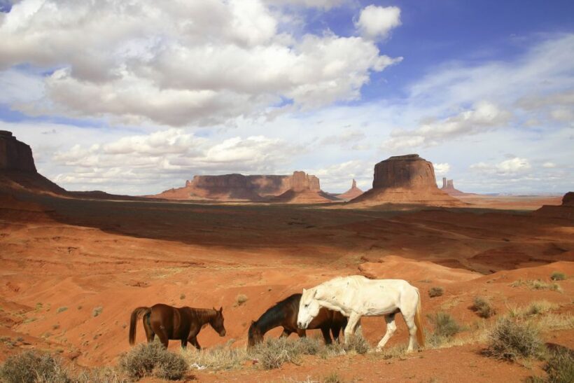 From Sedona or Flagstaff: Full-Day Monument Valley Tour - FAQs