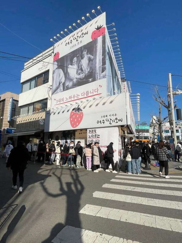 From Seoul: 2-Day Yeosu and Suncheon Scenic Journey - Final Thoughts