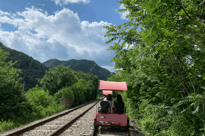 From Seoul: Alpaca Farm with Rail bike/ Luge Racing - A Complete Breakdown of the Itinerary