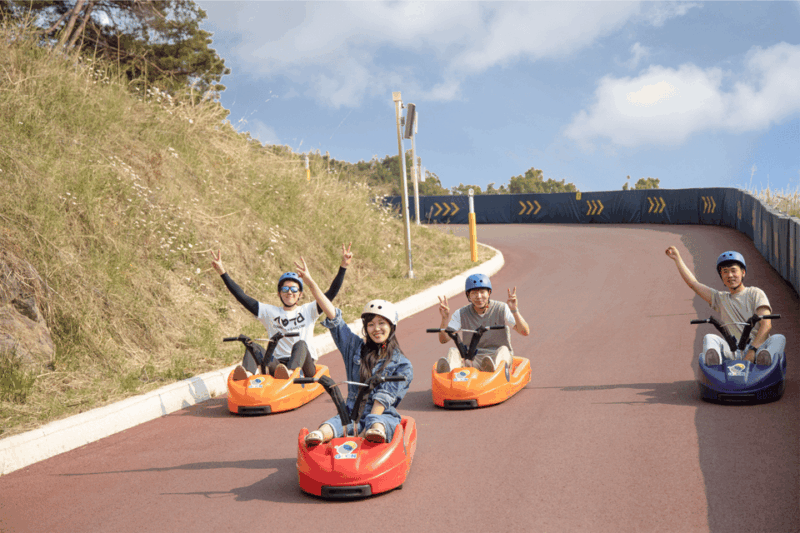 From Seoul: Alpaca Farm with Rail bike/ Luge Racing - What We Appreciate About the Experience