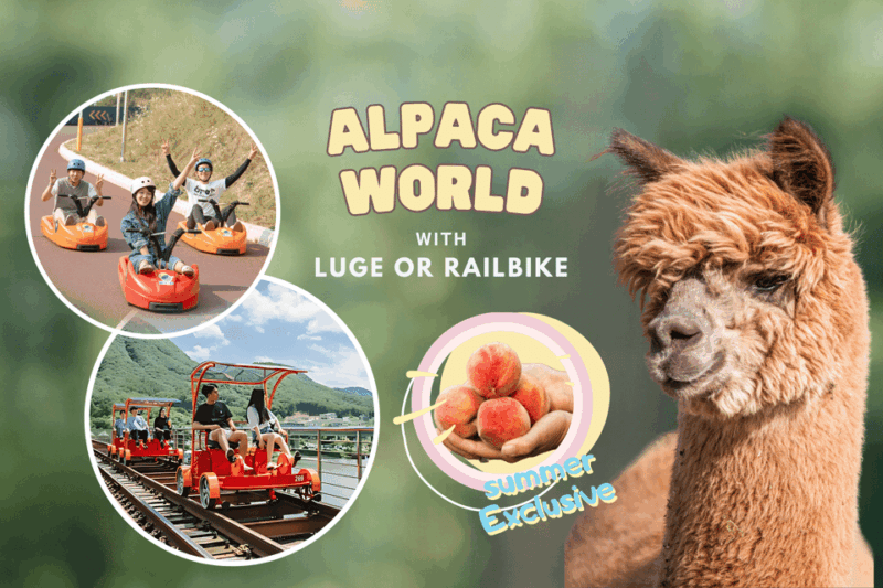 From Seoul: Alpaca Farm with Rail bike/ Luge Racing - The Sum Up: Authentic, Fun, and Scenic—A Great Countryside Escape