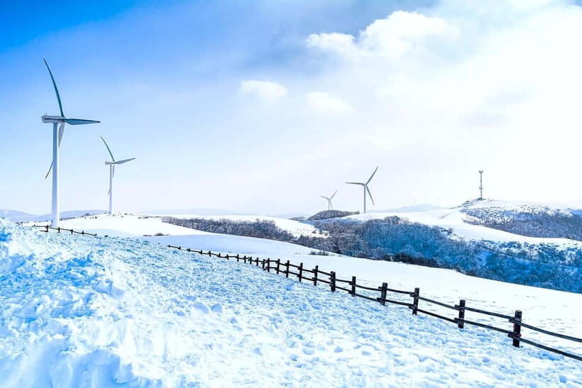 From Seoul: Balwangsan Cable Car and Daegwallyeong Ranch - Key Points