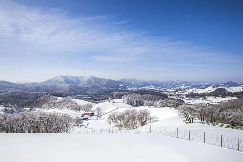From Seoul: Balwangsan Cable Car and Daegwallyeong Ranch - Who Is This Tour Best For?