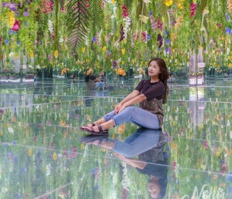 From Seoul: Begonia Bird Park, Rail Bike and Garden Tour - Discovering the Highlights of the Tour