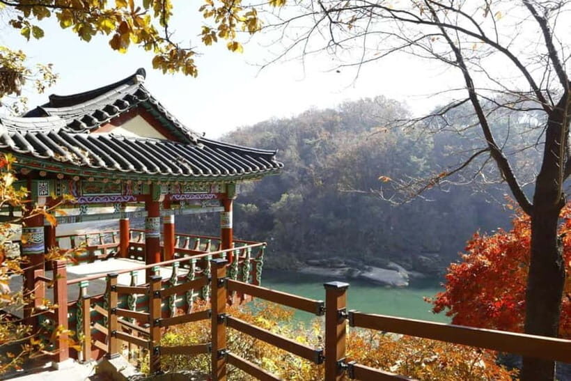 From Seoul: Cheorwon DMZ & 2nd Tunnel One Day Tour - The Overall Value and Experience