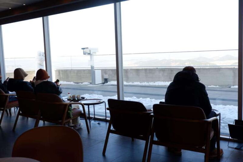 From Seoul: Closest Observatory to DMZ & Suspension Bridge - The Value of This Experience