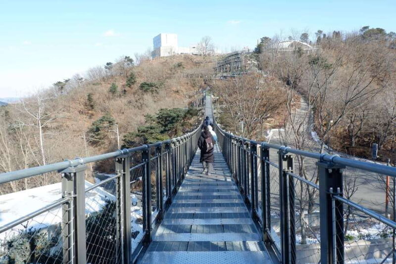 From Seoul: Closest Observatory to DMZ & Suspension Bridge - The Sum Up