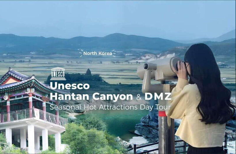 From Seoul: Demilitarized Zone & 2nd Tunnel One Day Tour - Discovering the DMZ: An In-Depth Look at the Tour Experience