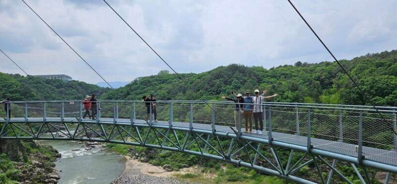 From Seoul: DMZ The 2nd Tunnel and Suspension Bridge Tour - Who Is This Tour Best For?