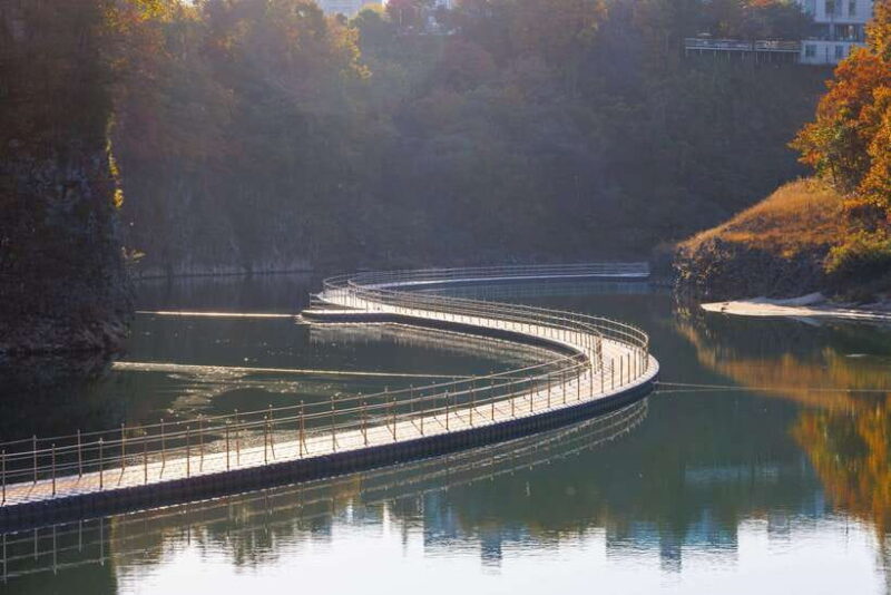 From Seoul: DMZ The 2nd Tunnel and Suspension Bridge Tour - Final Thoughts